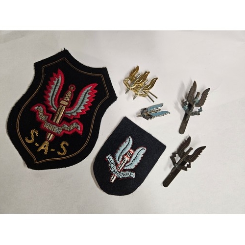 Selection of SAS Items