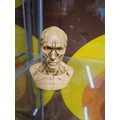 Anatomical Head Model