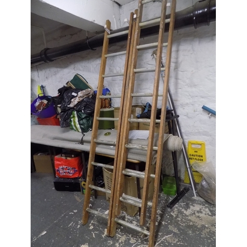 3 Piece Extendable Ladders
