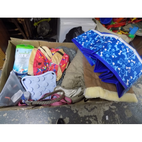 Box of Dog Related Items