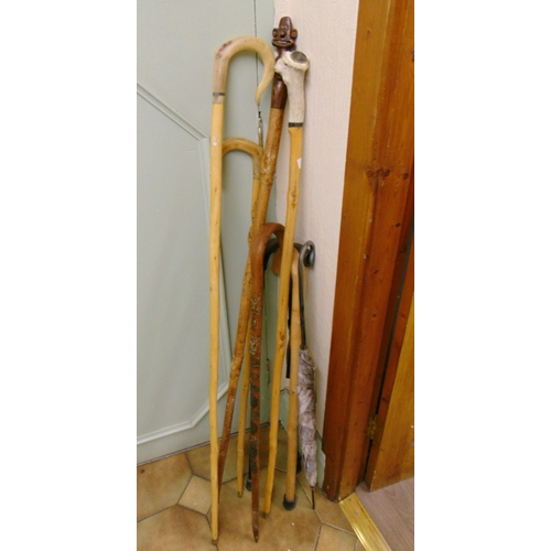 Collection of walking sticks.