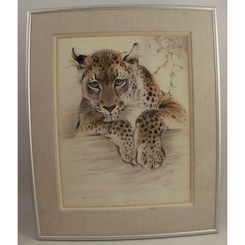 Ralph Thompson, watercolour, Who Goes There - young leopard, 14ins x 26ins
