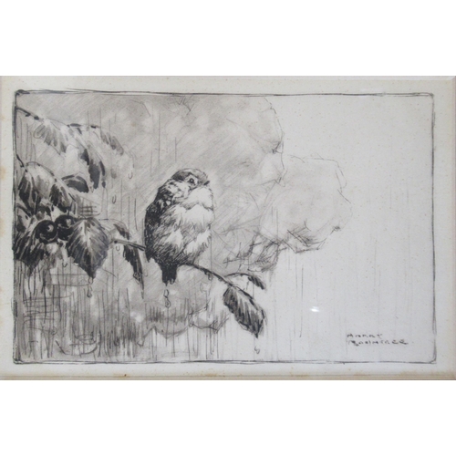 Harry Rowntree, two black and white etchings of birds, 4.5ins x 7ins ...