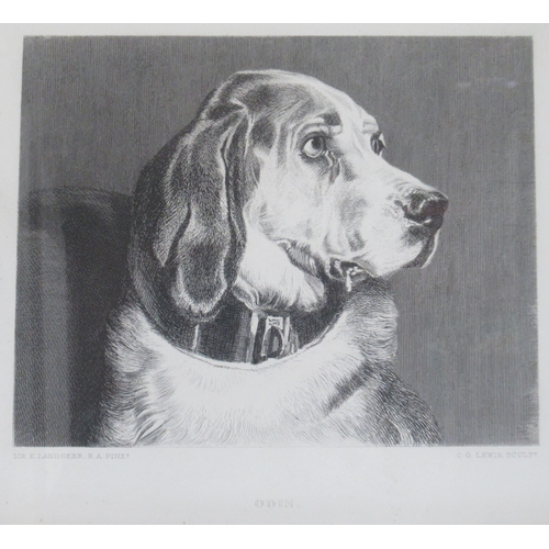 Harry Rowntree, two black and white etchings of birds, 4.5ins x 7ins ...