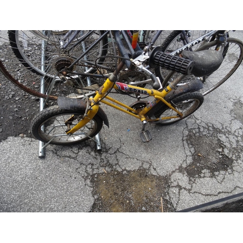 Raleigh Boxer Kids Bike