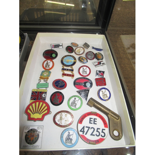 Qty Assorted Badges