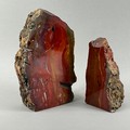 Pair of Polished Jasper Samples - Two beautiful examples of Jasper, cut ...