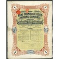 South Africa: New Primrose Gold Mining Company Limited, 1 share of £1 ...