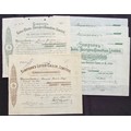 Great Britain: Simpson's Lever Chain Limited, £1 shares, 18[96], #2537 ...