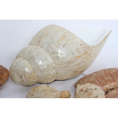 A large ornamental shell measuring 21" and a lot of assorted crab ...