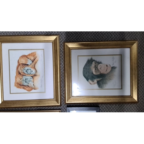 Five framed artworks, including two pencil sketches of primates by ...