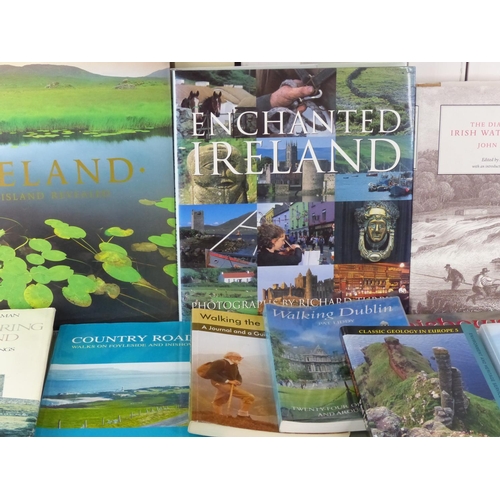A collection of Irish history books.