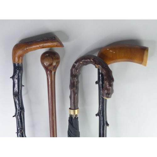 A stunning black thorn walking stick with RUC inset badge, a wooden ...