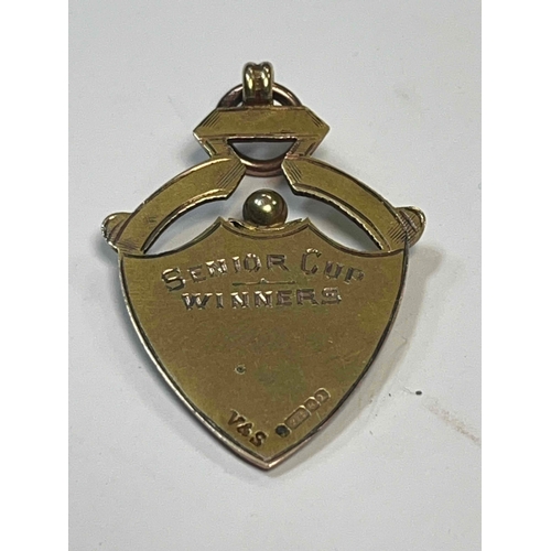 Medal - Cornwall FA 1923, Senior Cup Winners. 6.75 grammes, Lovely Gold ...