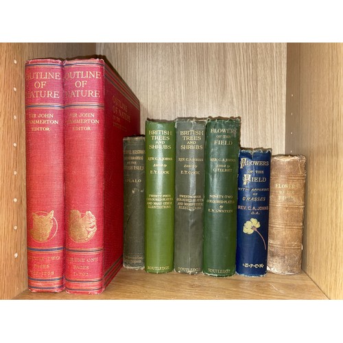 BOTANICAL REFERENCE BOOKS BRITISH TREES AND SHRUBS BY C A JOHNS WITH ...