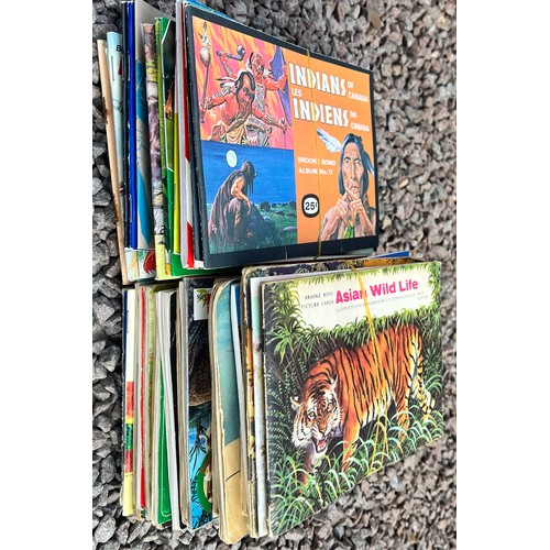 A LARGE SELECTION OF PG TIPS AND BROOKE BOND PICTURE TEA CARD ALBUMS ...