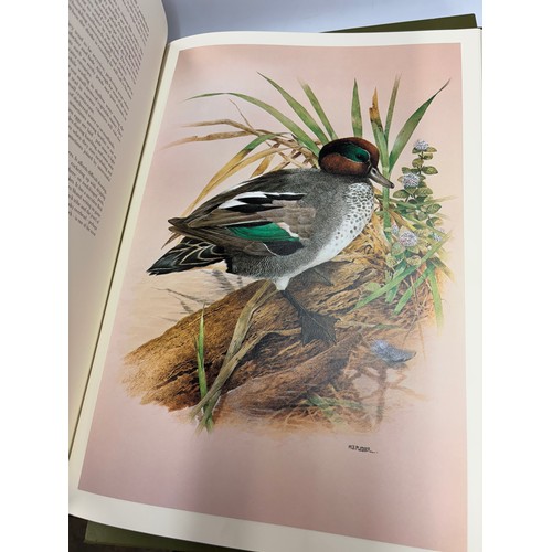 GAME BIRDS BY CHARLES COLES AND ILLUSTRATED BY PLEDGER, LIMITED EDITION ...