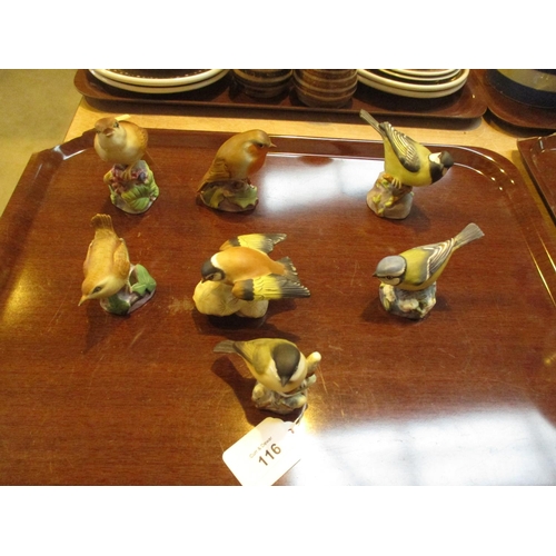 Seven Royal Worcester Birds
