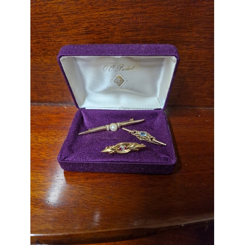Set of three jewellery pins.