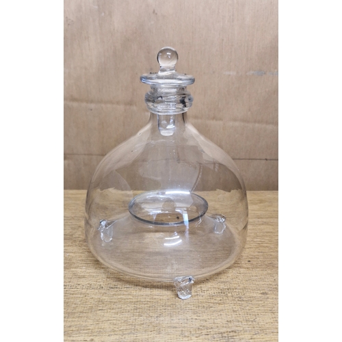 Victorian glass wasp trap