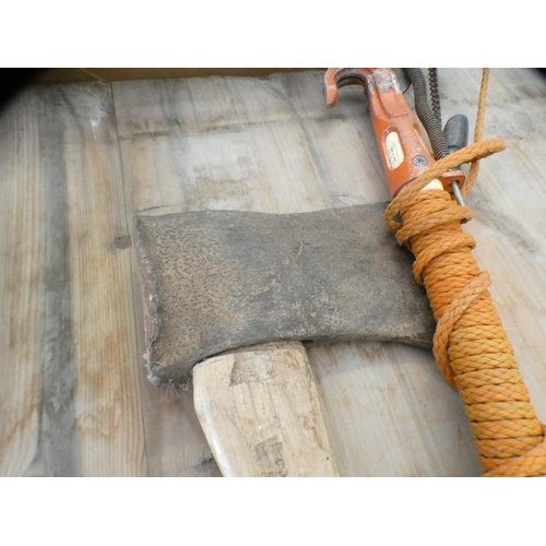 A long handled axe and extending tree pruner
