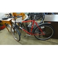 Bacini Polaris gents mountain bike/bicycle/MTB