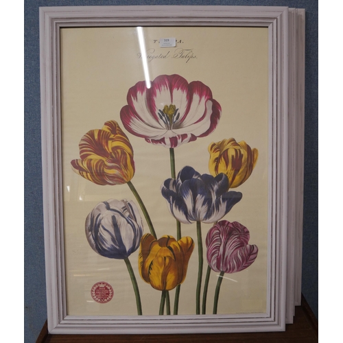 A set of four horticultural prints, framed
