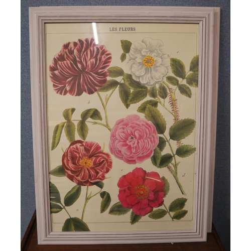 A set of four horticultural prints, framed