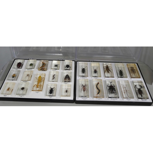 Five trays of National Geographic insect specimens in resin