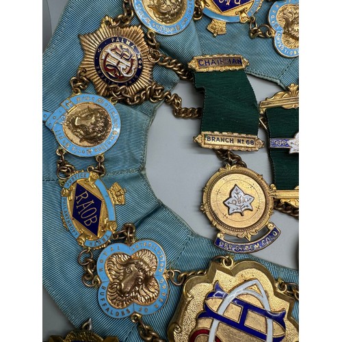 A collection of RAOB Royal Antediluvian Order of Buffaloes lodge medals ...