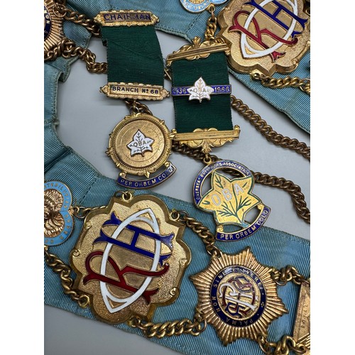 A collection of RAOB Royal Antediluvian Order of Buffaloes lodge medals ...