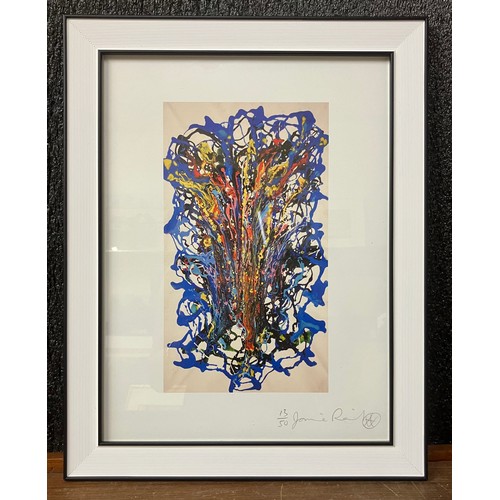 A signed Jamie Reid limited edition print, no. 13/50, framed