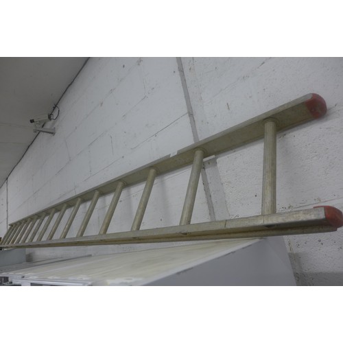 A single aluminium ladder