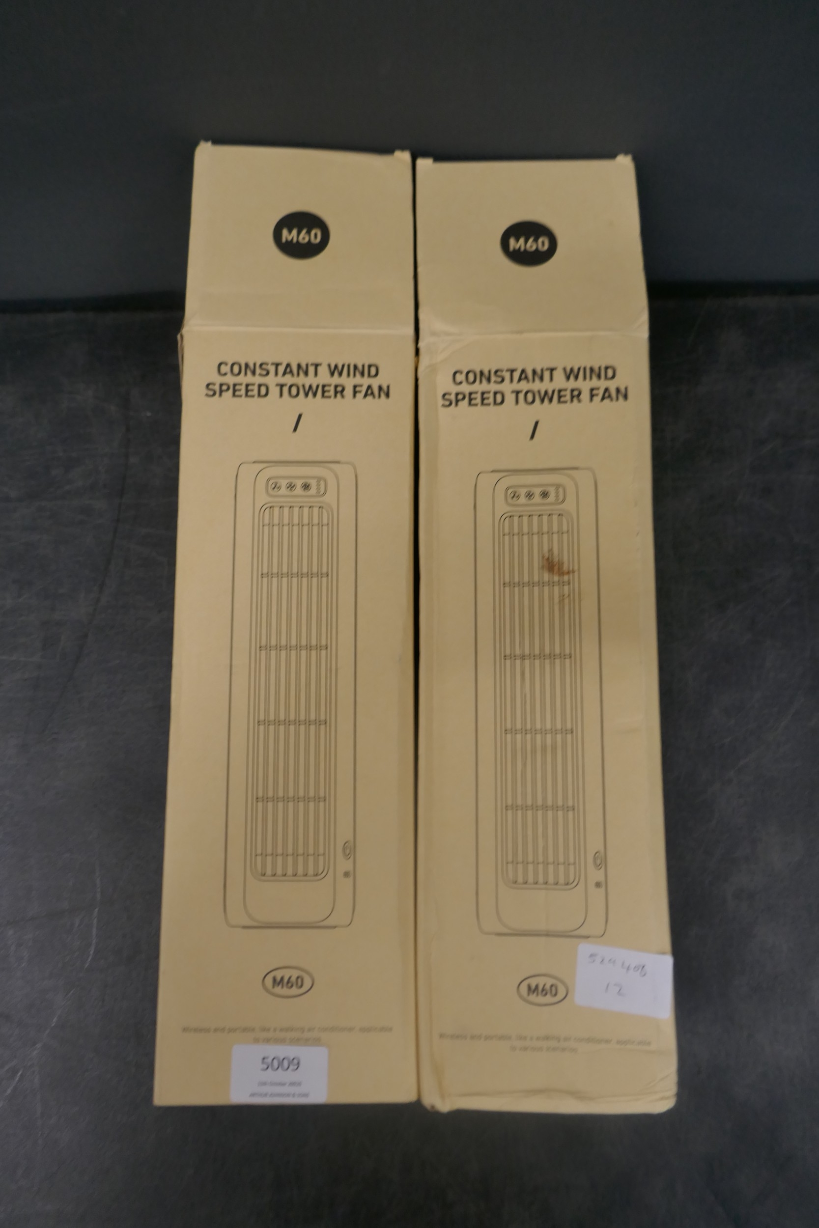 Two constant wind speed tower fans