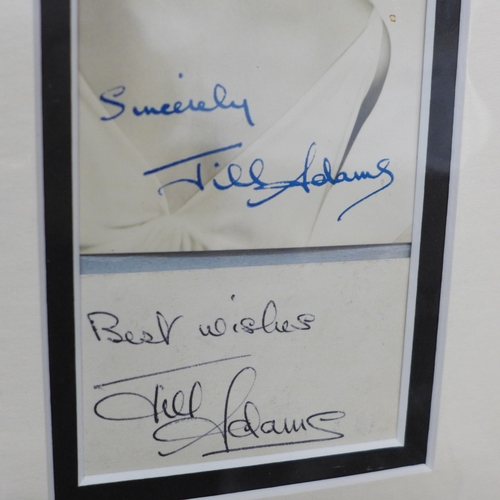 Three Carry On film related picture displays, autographs of Barbara ...