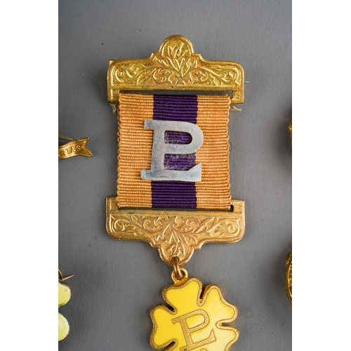 A collection of Primrose League gilt metal and enamel items, comprising ...