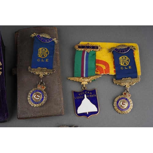 A collection of twelve Royal Order of Buffaloes medallions in silver ...