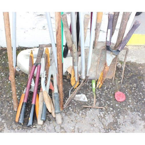 18 assorted garden tools