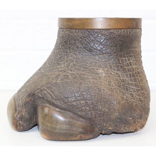 Edward Gerrard & Sons of London, an antique taxidermy pot holder formed ...