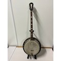 Remo Lorenzo banjo.