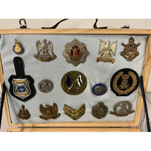 A collection of 34 military cap badges & insignia displayed in a wooden ...
