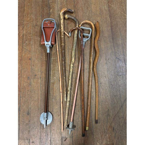 Selection of wooden walking sticks along with shooting sticks.