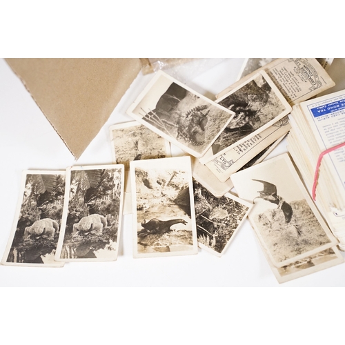 Late 19th century / early 20th century folding metal stereoscope ...