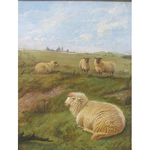 CHARLES 'SHEEP' JONES. Sheep in a Meadow, oil on canvas, 18 1/2 x 14 in