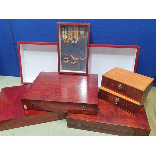 Two glazed Lepidoptery/Entomology Perspex glazed Display Cases 1ft 9in ...