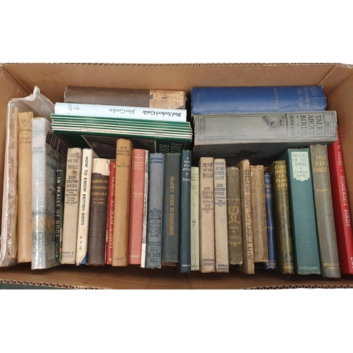 Two boxes - British Birds chiefly