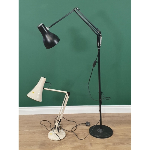 A table Anglepoise Lamp and a floor standing Anglepoise Lamp, (R2)