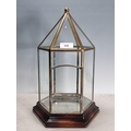 A brass framed hexagonal Display Case on mahogany base 1ft 5in H x 10in ...