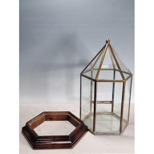 A brass framed hexagonal Display Case on mahogany base 1ft 5in H x 10in ...