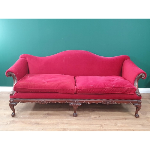 A carved and upholstered camelback Settee raised on squat carved ...